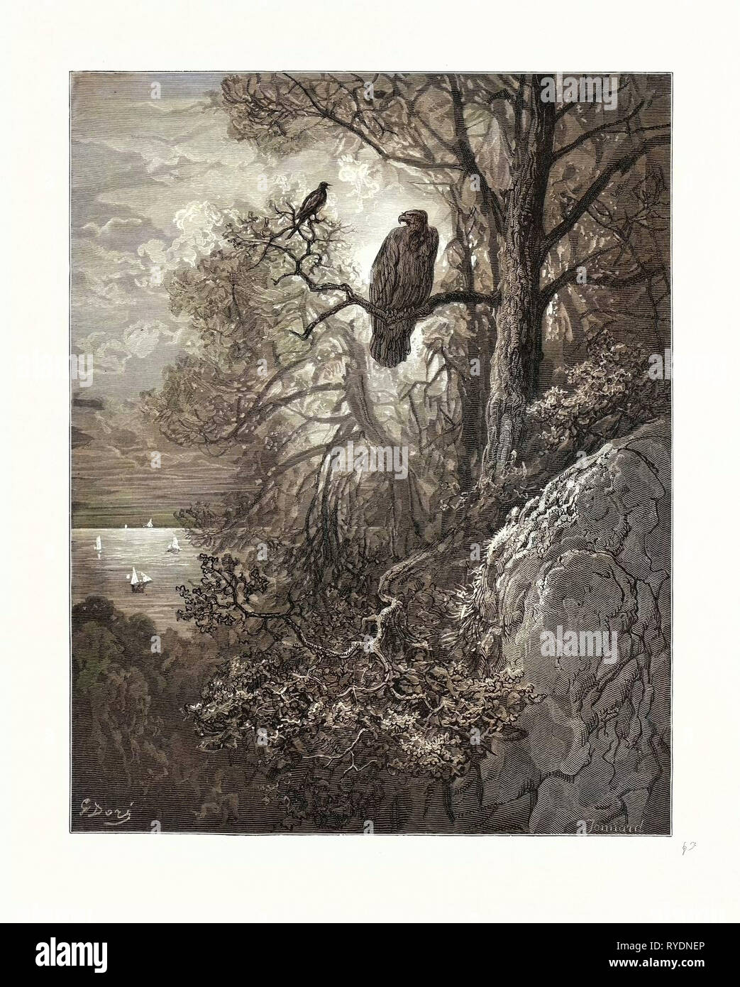Adler stil Ausgeschnittene Stockfotos und -bilder - Alamy