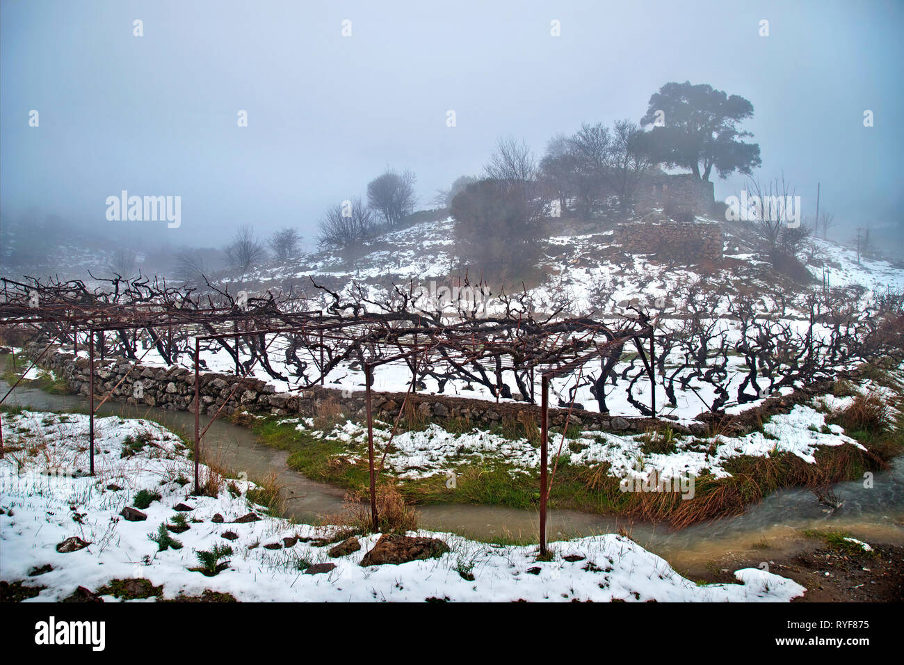 Griechischer Weinberg Stockfotos und -bilder Kaufen - Alamy