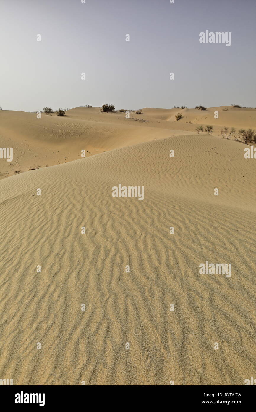 Nitre busch -Fotos und -Bildmaterial in hoher Auflösung – Alamy