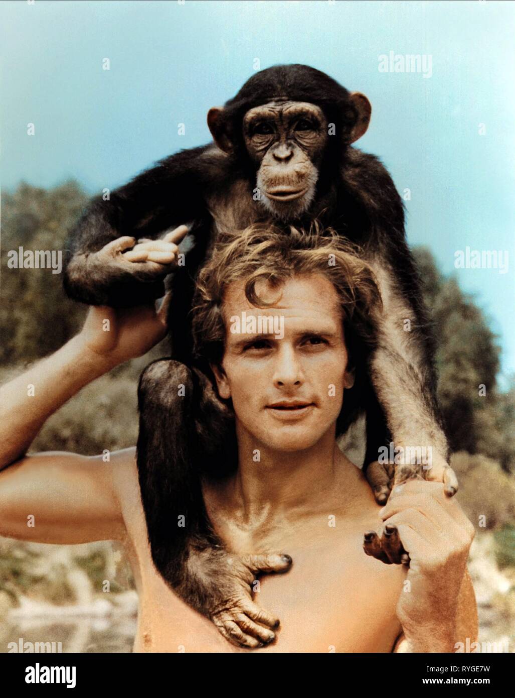 Tarzan der affen -Fotos und -Bildmaterial in hoher Auflösung – Alamy