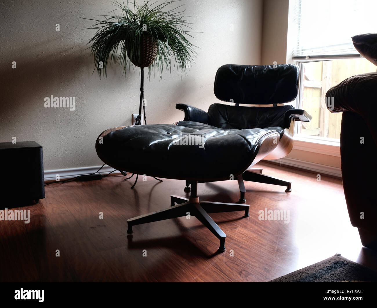 Cantoni eames chair store