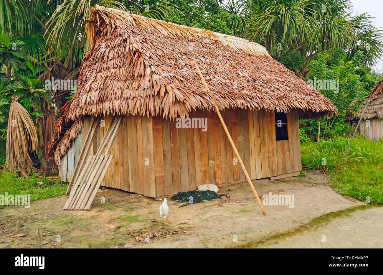 Reetdach Haus in einem Regenwald des Amazonas Dorf in Peru ...