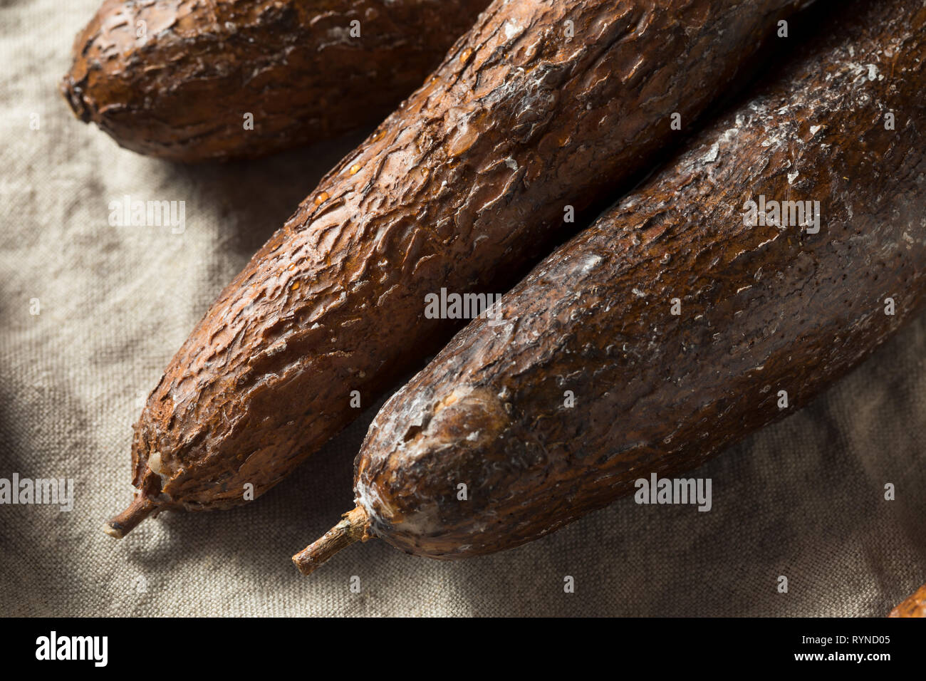 Manioc Root Stockfotos und -bilder Kaufen - Alamy