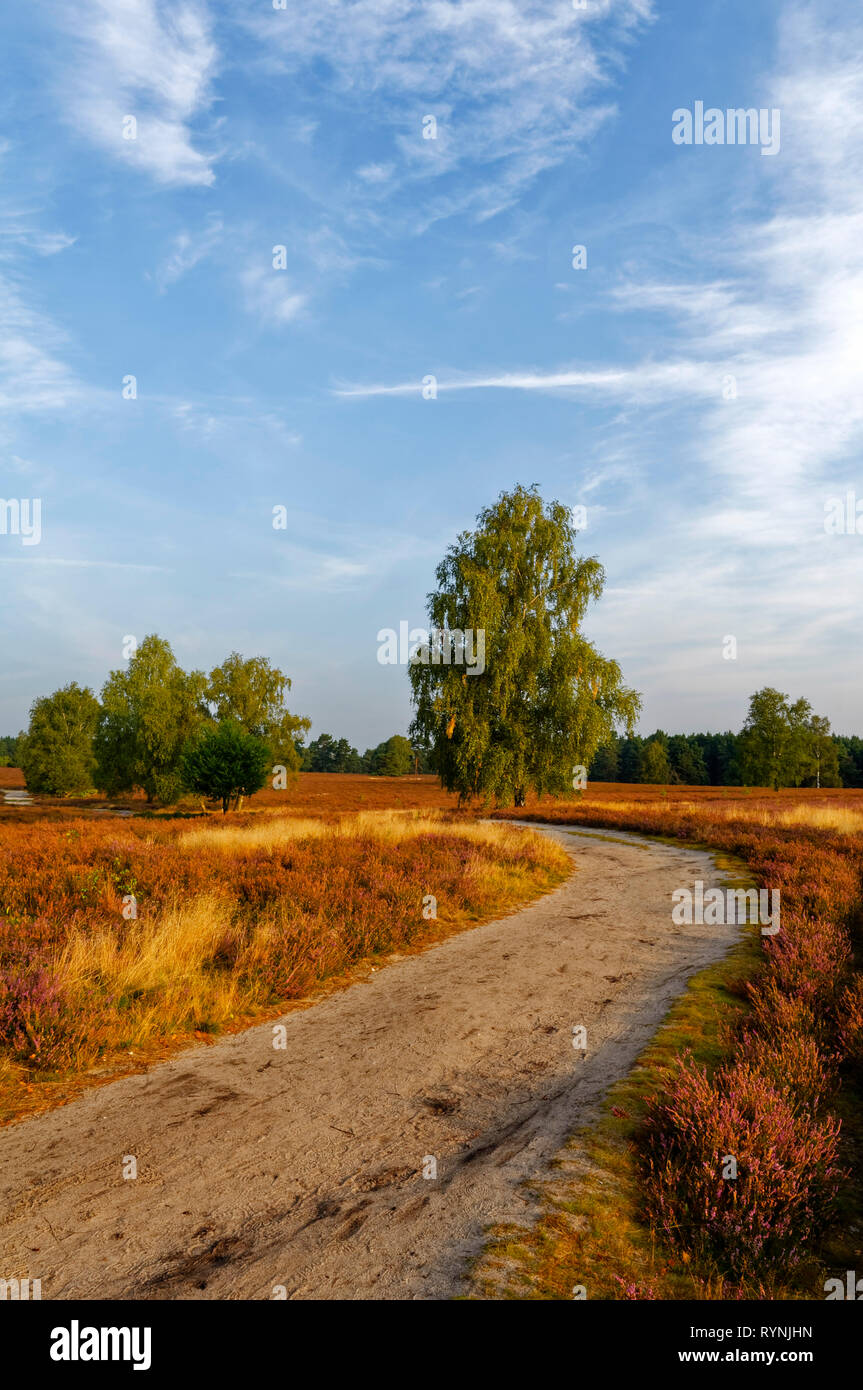 Heide Park Resort Stockfotos und -bilder Kaufen - Alamy