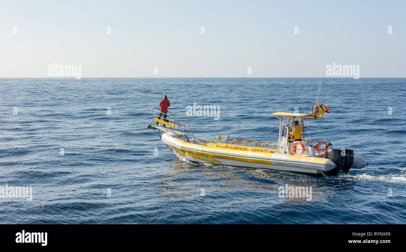 Meeresbiologe recherchieren und fotografieren die Wale Stockfotografie ...
