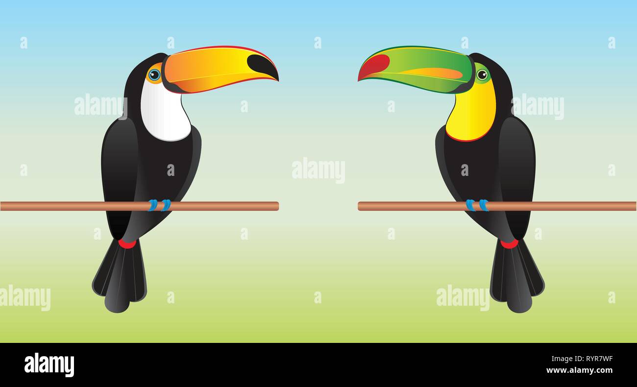 Tukane mit unterschiedlichen Schnäbel Stock-Vektorgrafik - Alamy