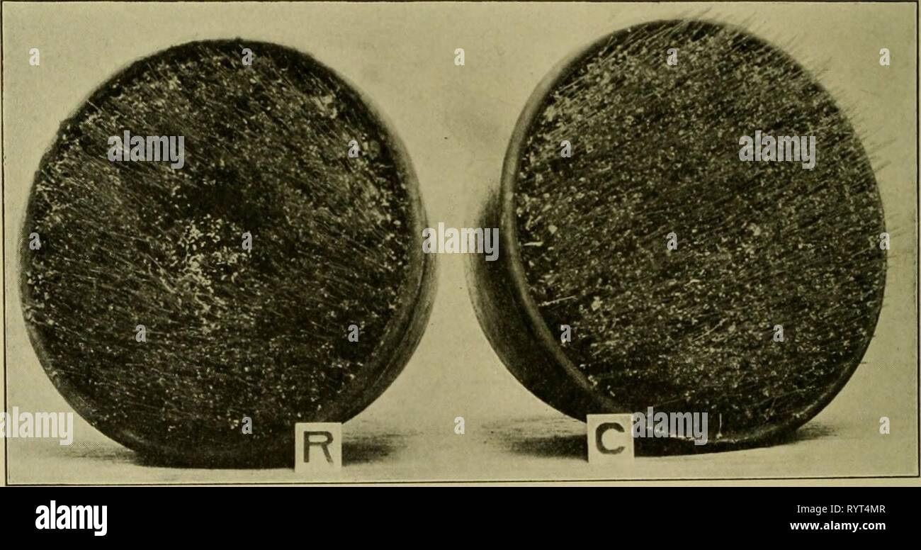 Radium samen -Fotos und -Bildmaterial in hoher Auflösung – Alamy