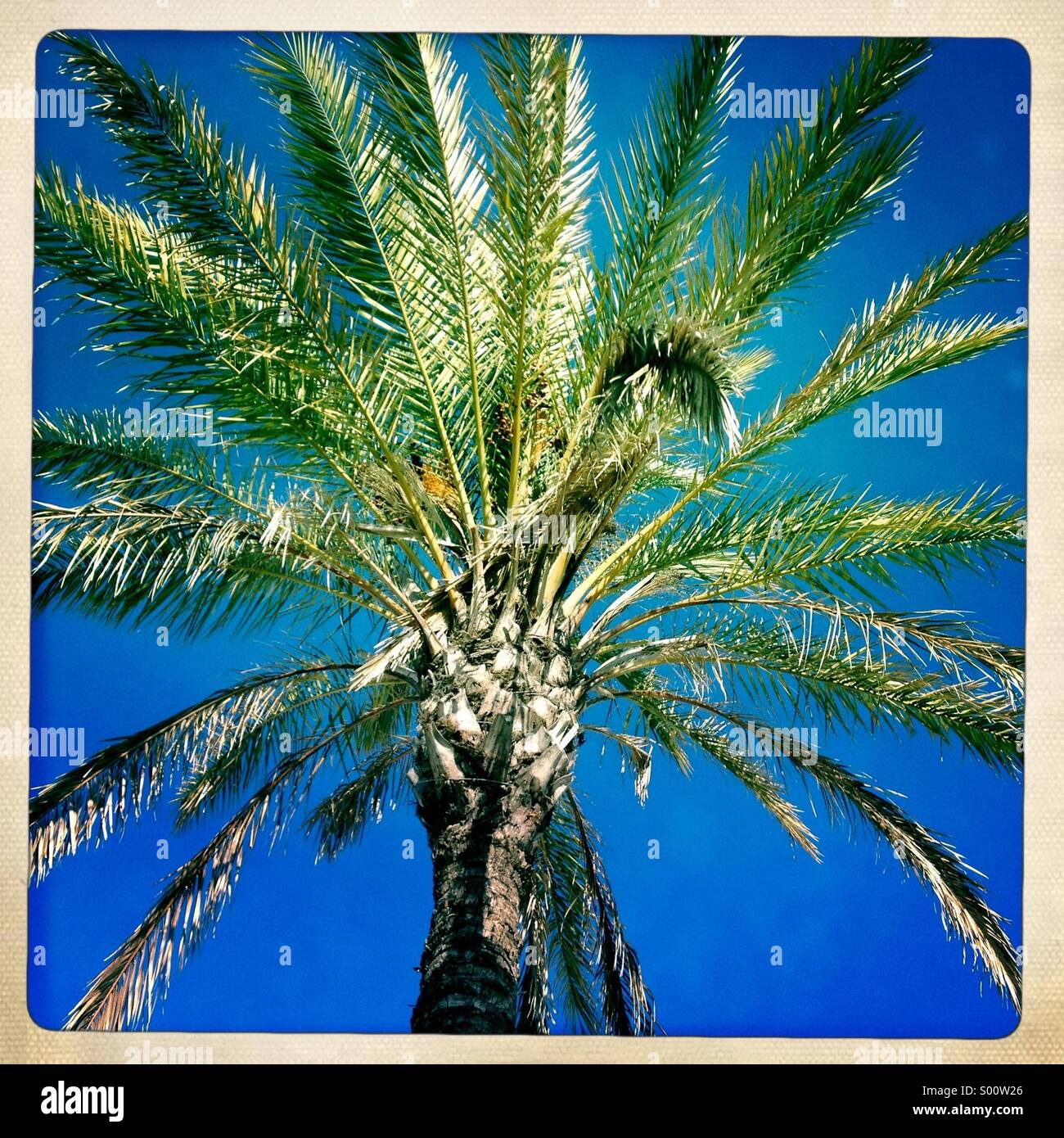 Von instagram -Fotos und -Bildmaterial in hoher Auflösung – Alamy