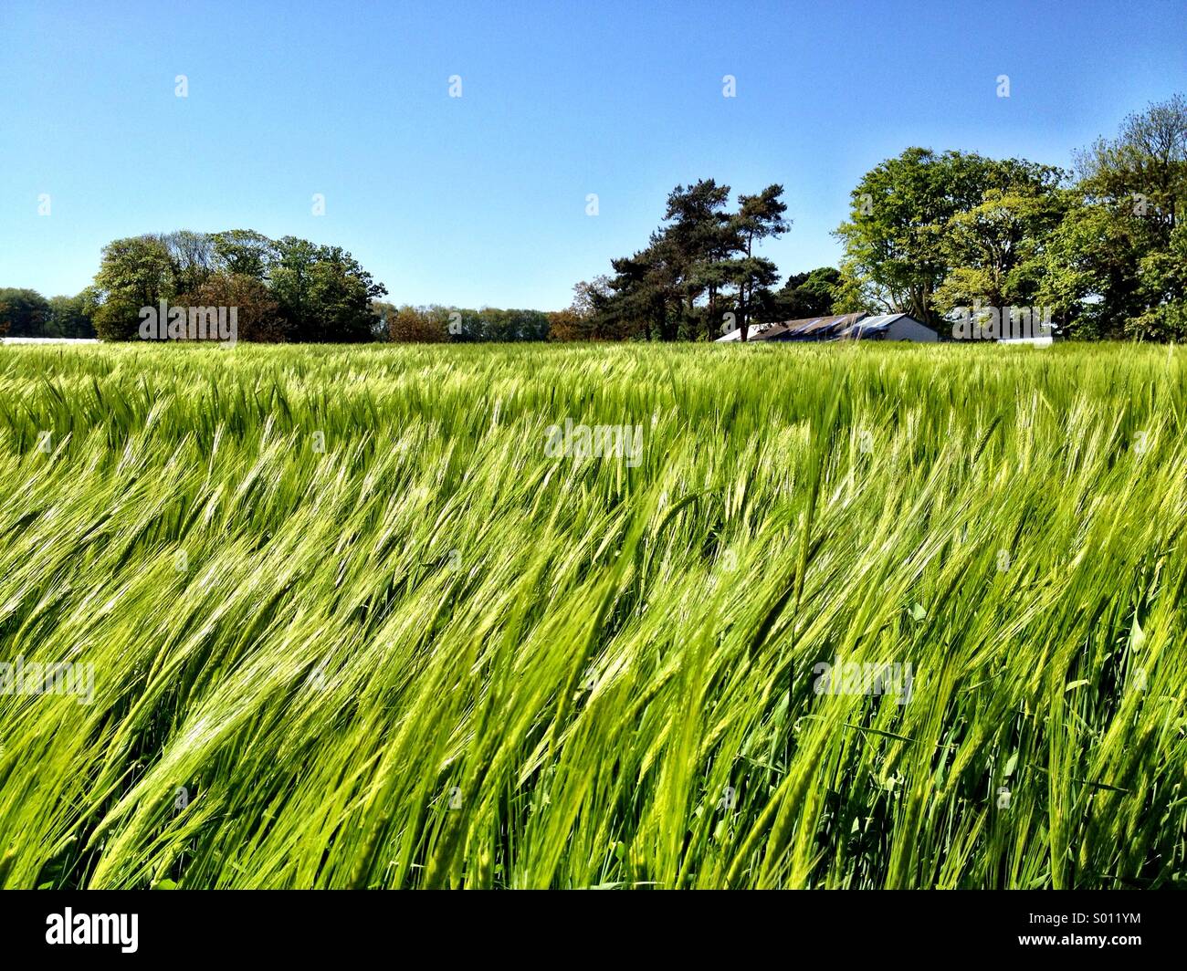 Grün und Blau Stockfotos und -bilder Kaufen - Alamy