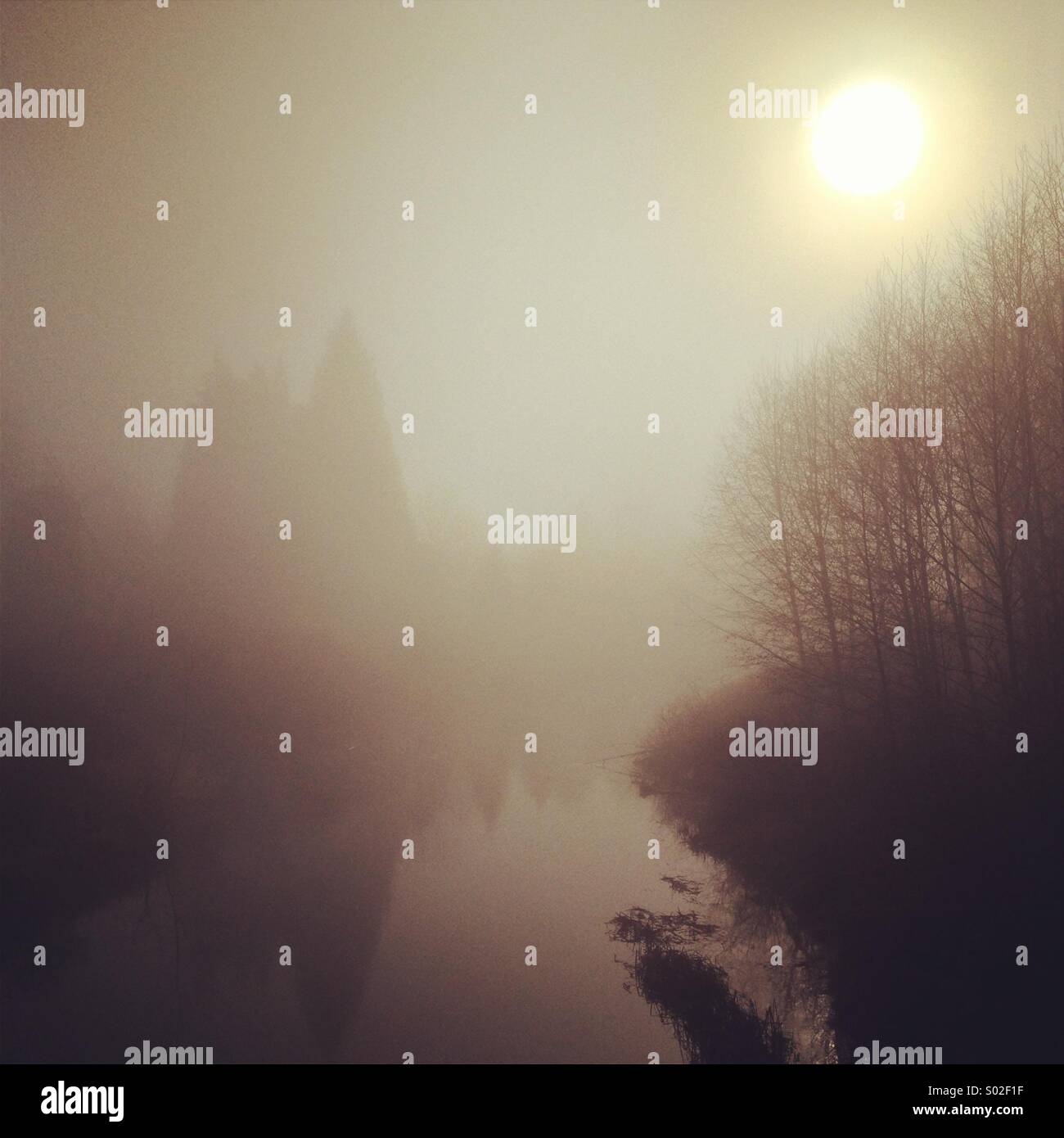 Gruseliger nebel -Fotos und -Bildmaterial in hoher Auflösung – Alamy