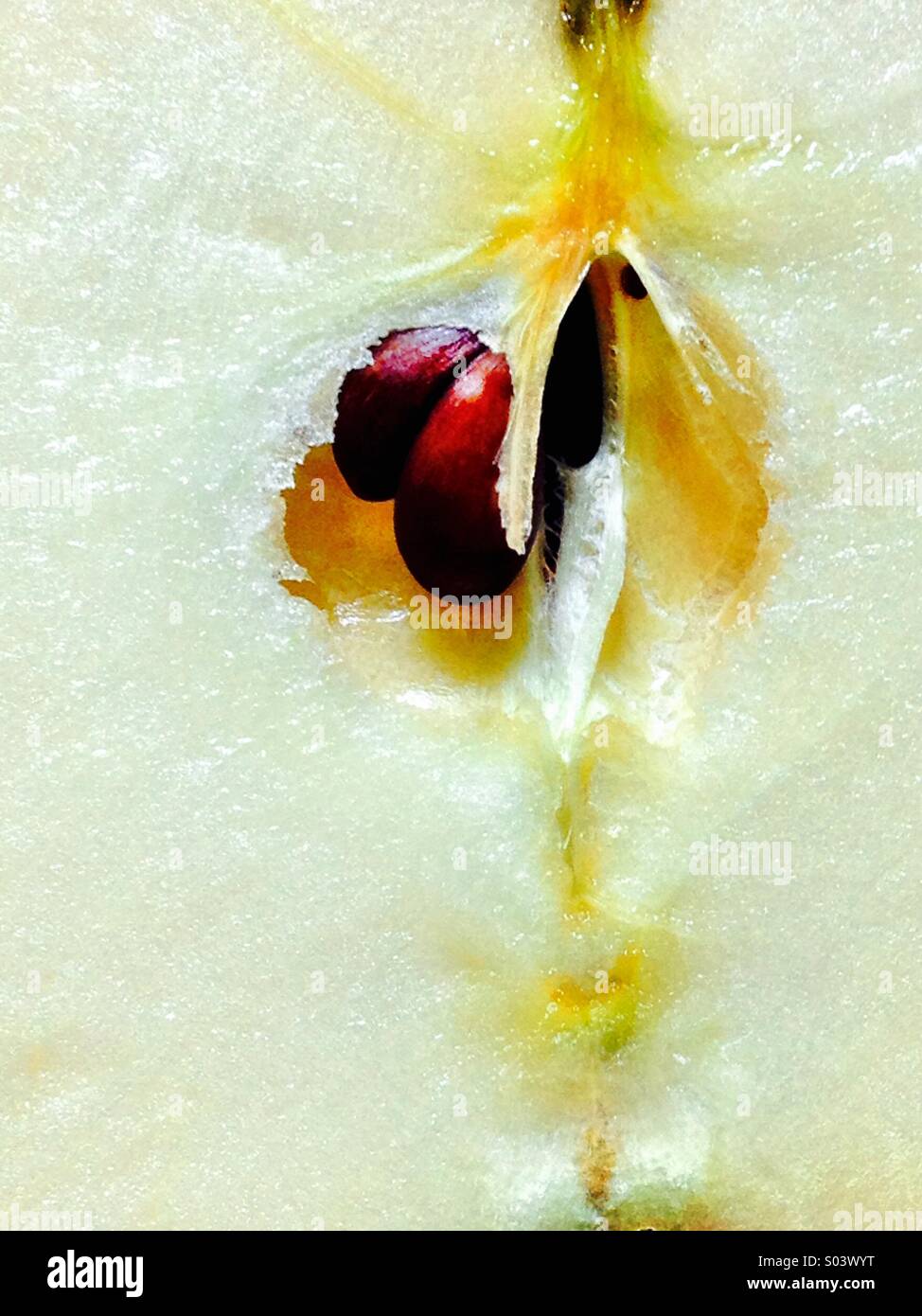 Core apples -Fotos und -Bildmaterial in hoher Auflösung – Alamy