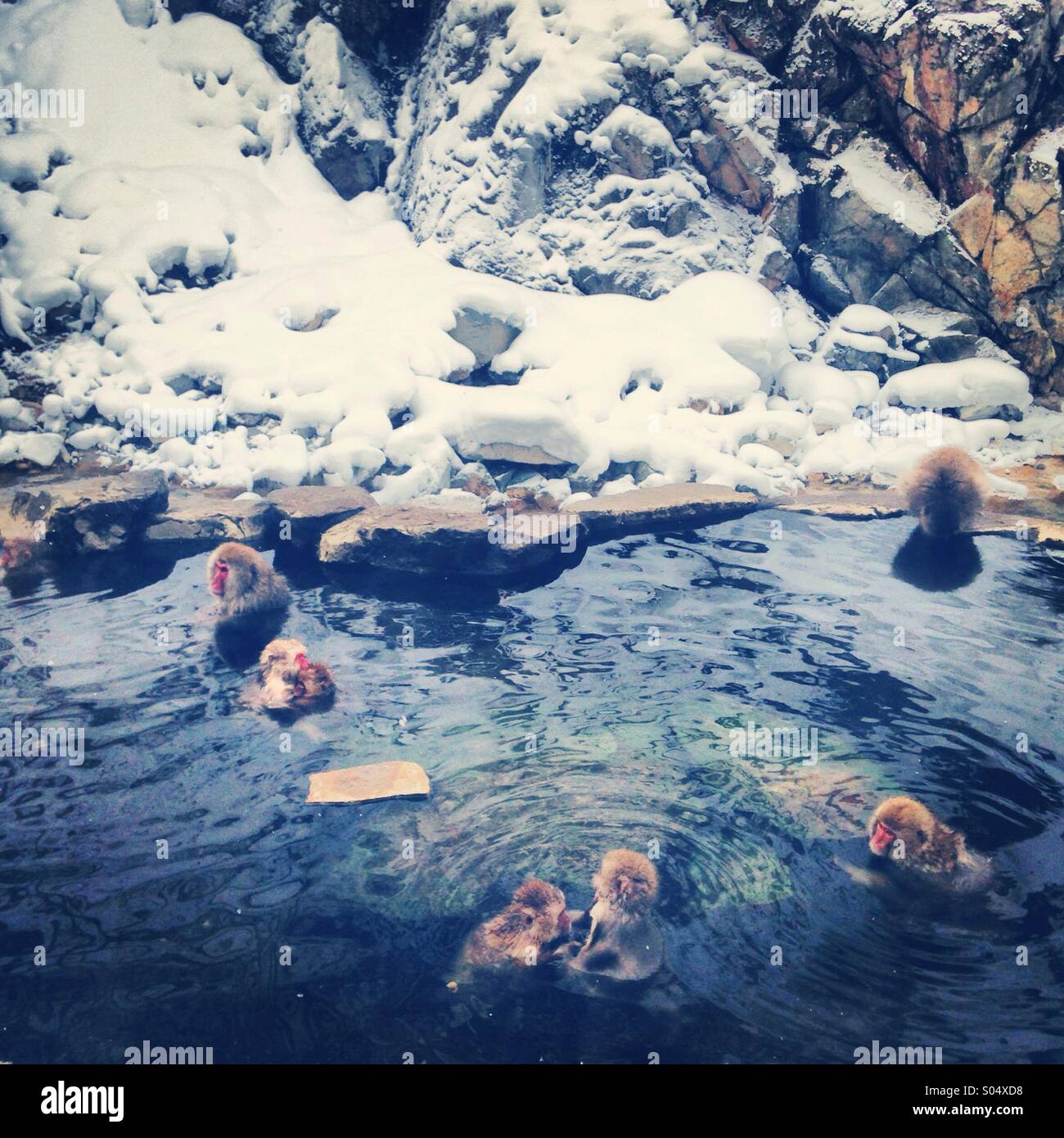 Taking hot bath -Fotos und -Bildmaterial in hoher Auflösung – Alamy