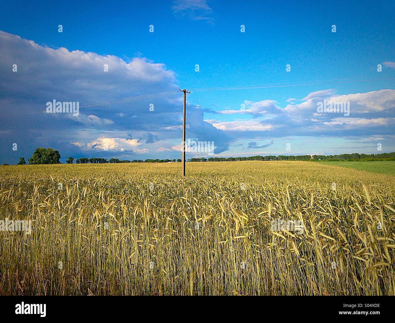 Polen bauernhof land -Fotos und -Bildmaterial in hoher Auflösung ...