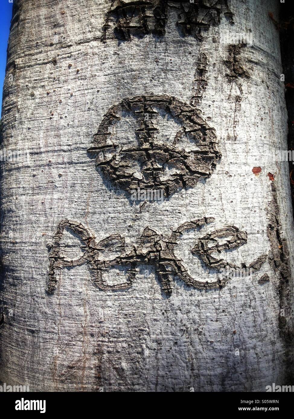 Frieden und das Peace-Zeichen-Symbol auf einem Baum geschnitzt ...