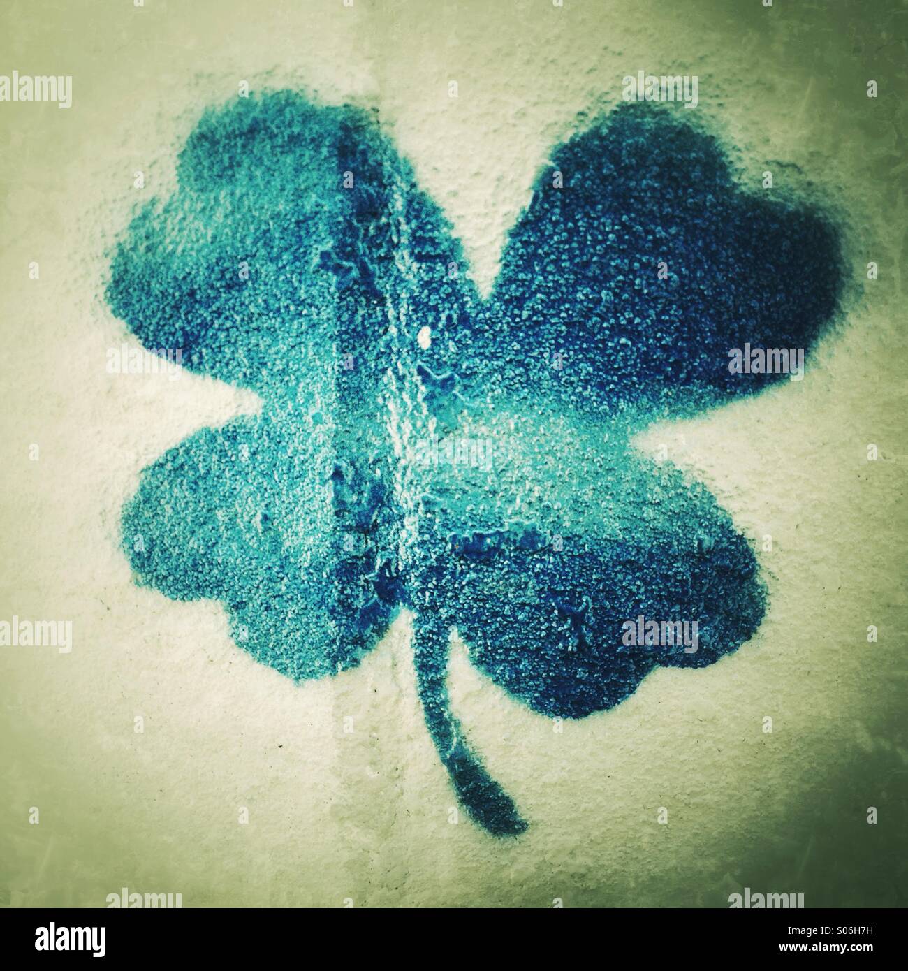 Blauer klee -Fotos und -Bildmaterial in hoher Auflösung – Alamy