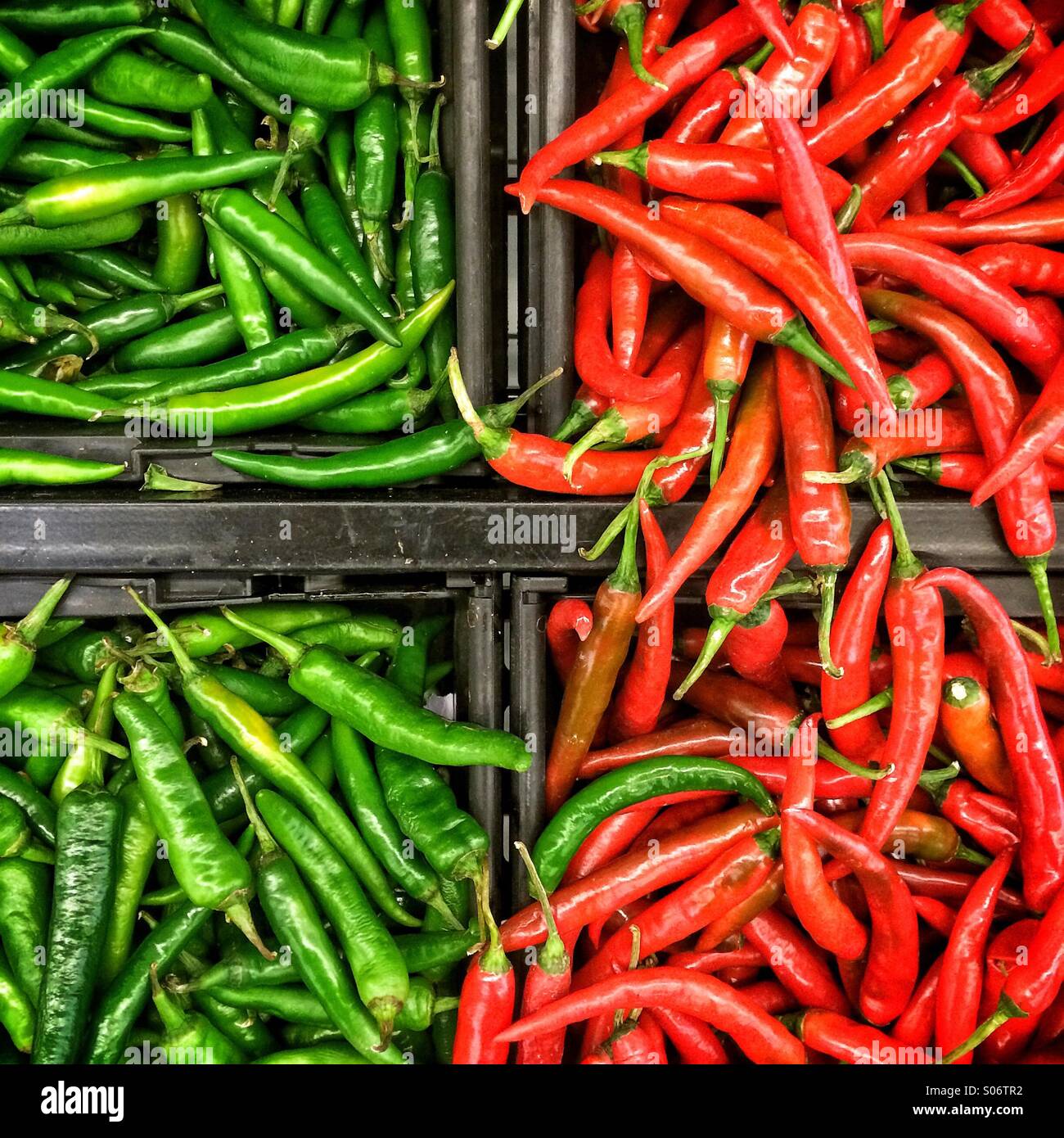 Fresh green chillies -Fotos und -Bildmaterial in hoher Auflösung – Alamy