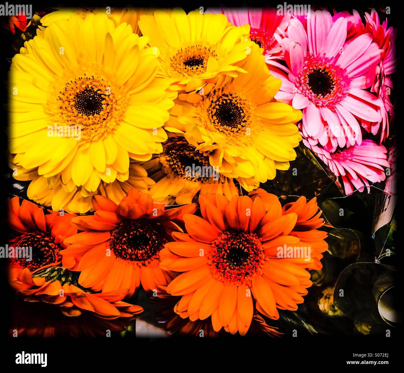 Gelb orange pink -Fotos und -Bildmaterial in hoher Auflösung – Alamy