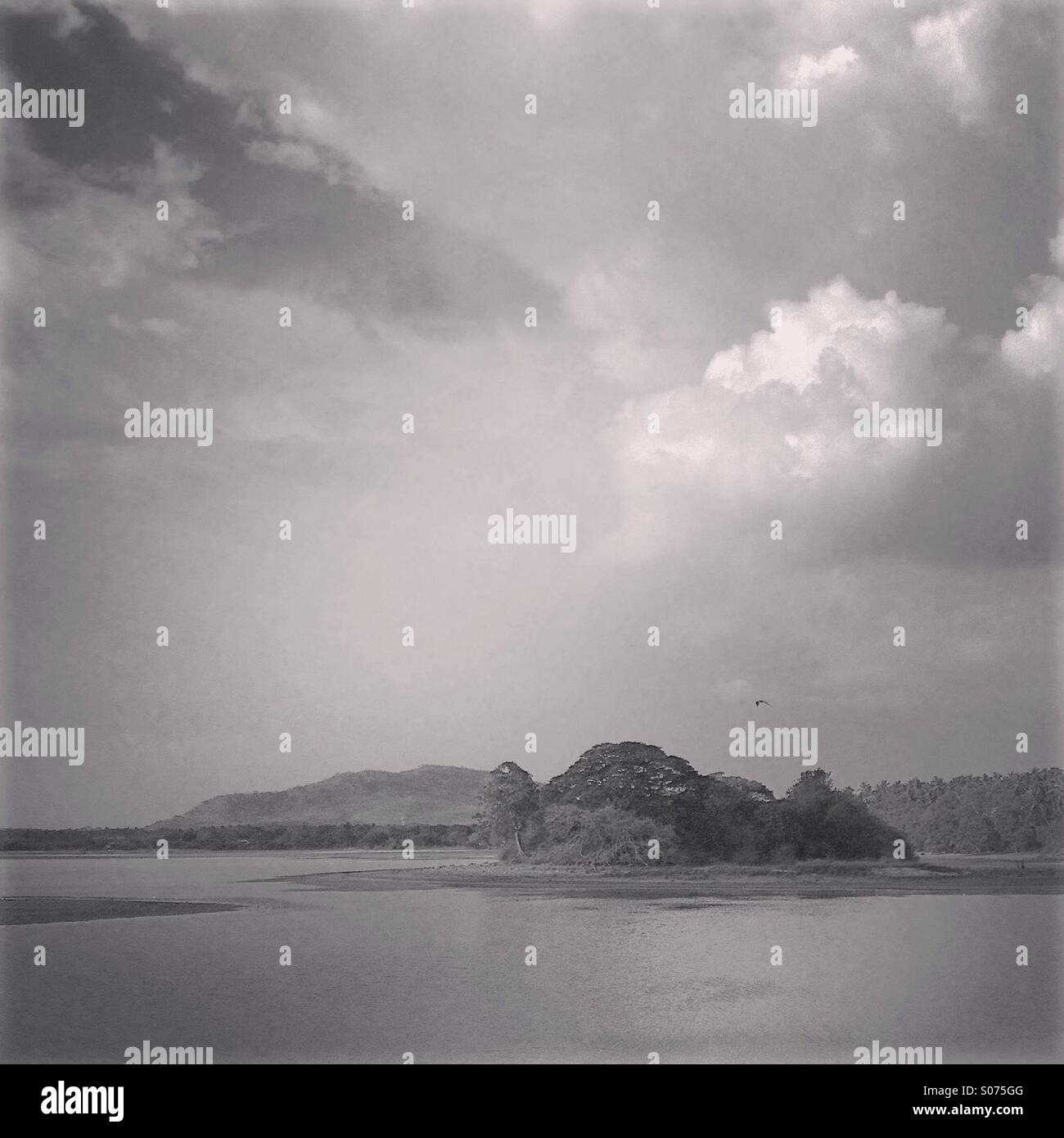 Sri lanka national -Fotos und -Bildmaterial in hoher Auflösung – Alamy