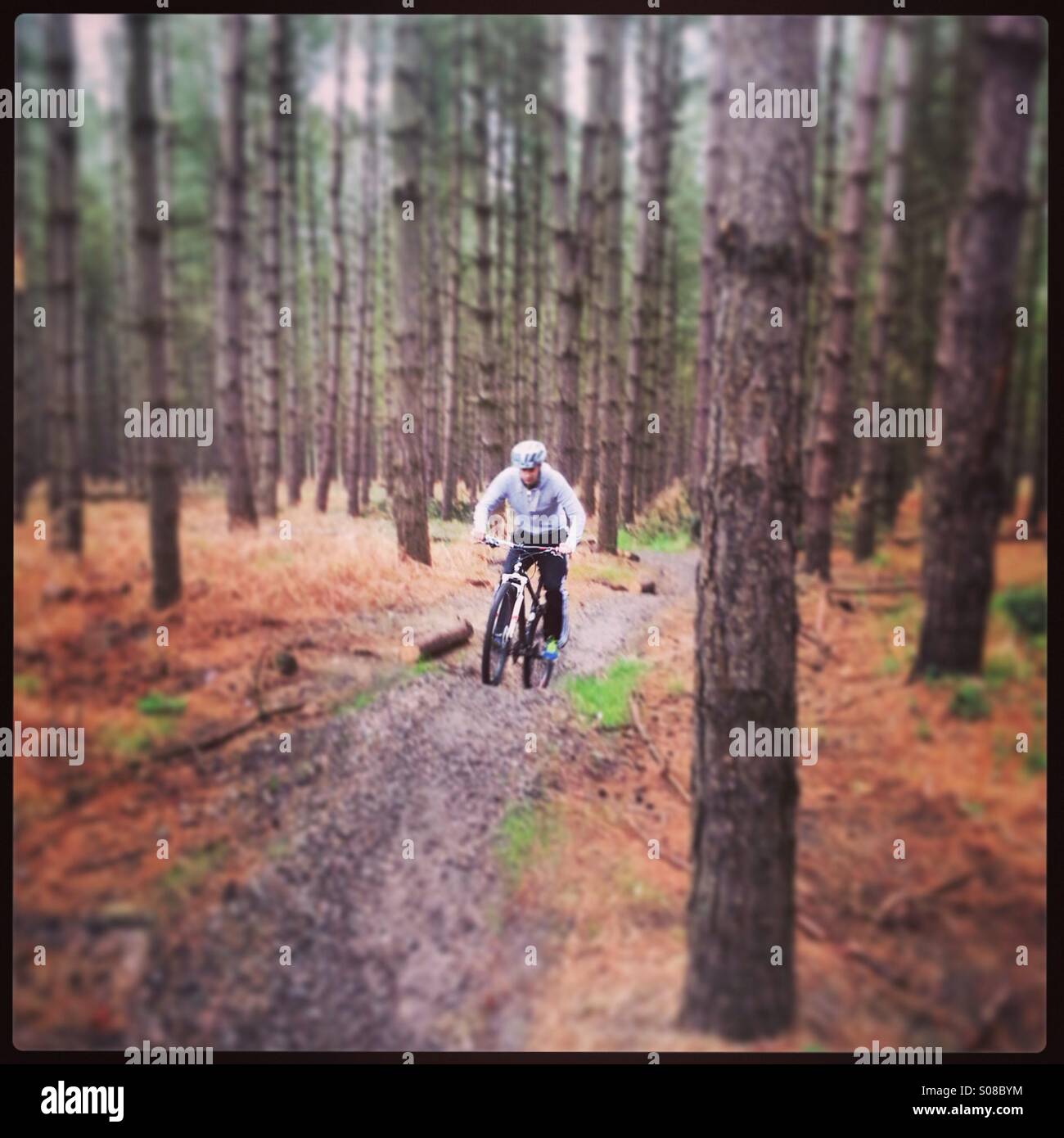 Trek bicycle -Fotos und -Bildmaterial in hoher Auflösung – Alamy