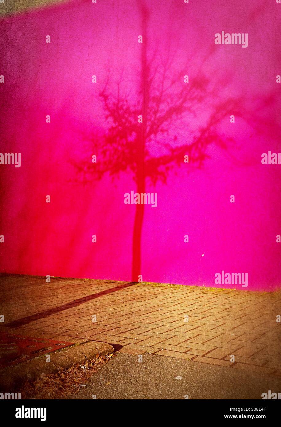 Baumschatten an der wand -Fotos und -Bildmaterial in hoher Auflösung ...