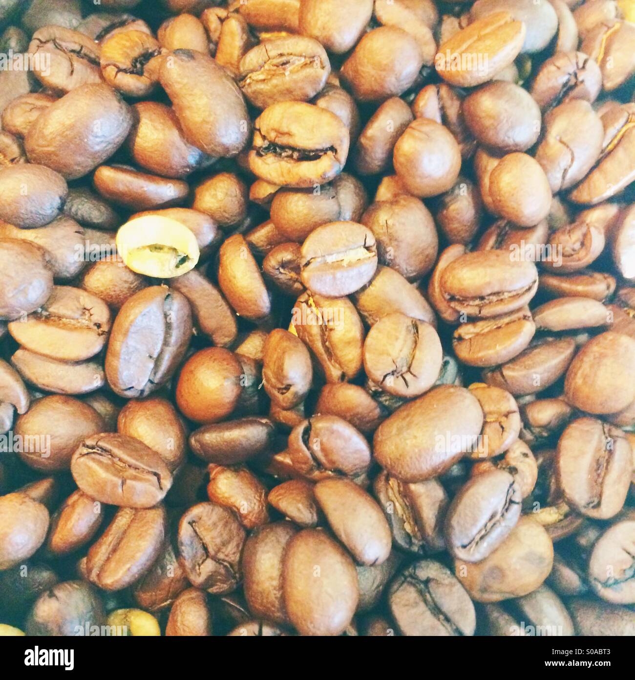 Raw coffee bean -Fotos und -Bildmaterial in hoher Auflösung – Alamy