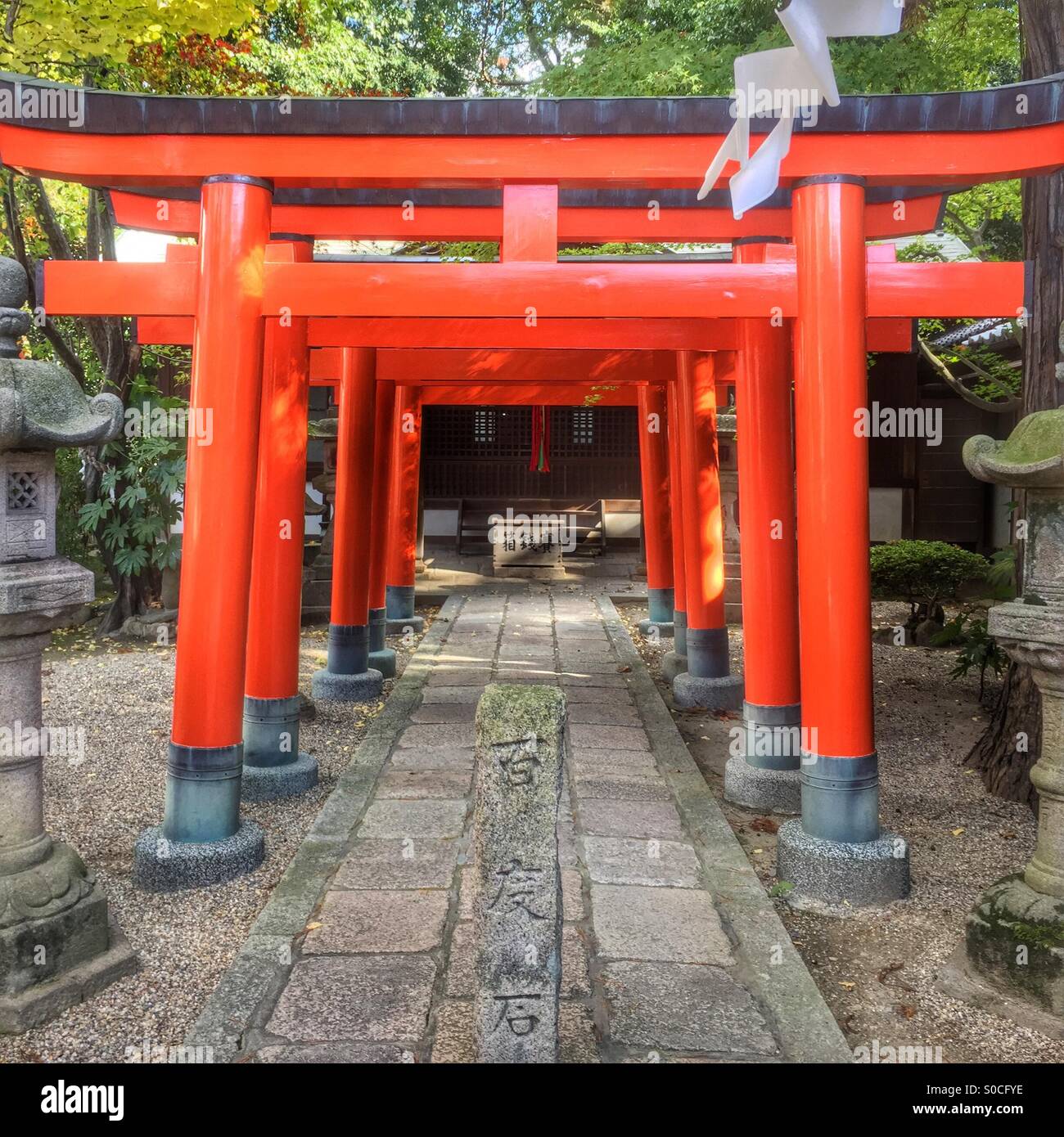 Inari jinja -Fotos und -Bildmaterial in hoher Auflösung – Alamy
