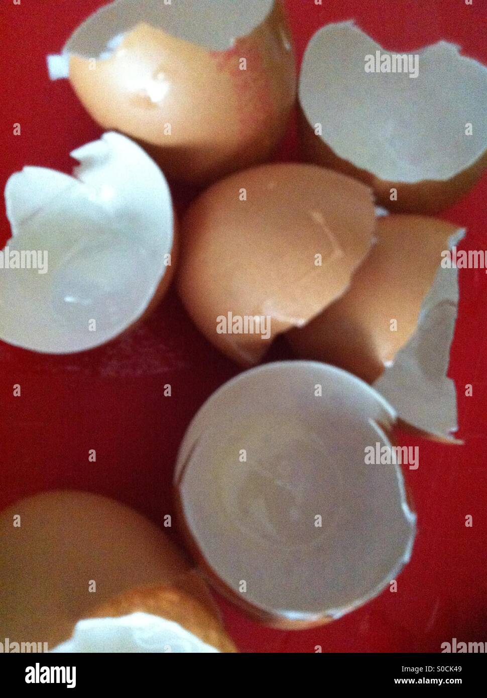 Eier mit muscheln -Fotos und -Bildmaterial in hoher Auflösung – Alamy