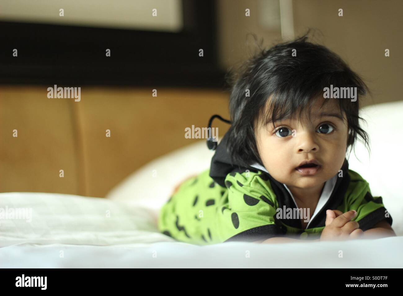 Baby biene -Fotos und -Bildmaterial in hoher Auflösung – Alamy