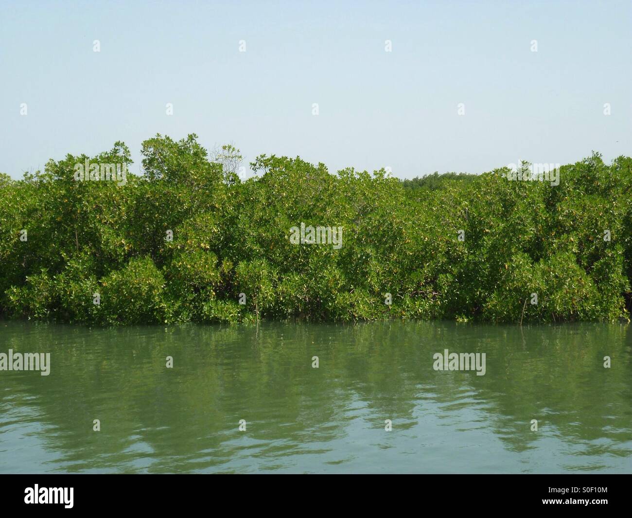 Fluss Gambia Stockfotos und -bilder Kaufen - Alamy