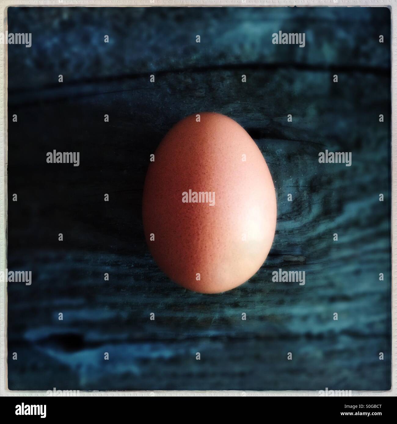 Ei bei -Fotos und -Bildmaterial in hoher Auflösung – Alamy