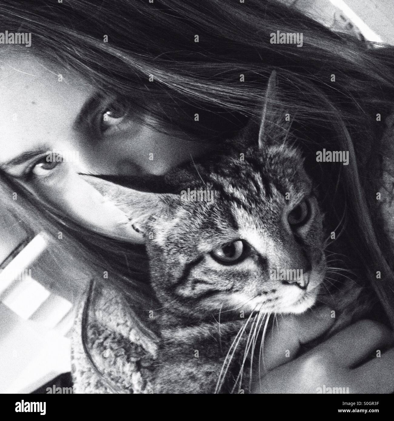 Mädchen mit katze -Fotos und -Bildmaterial in hoher Auflösung – Alamy