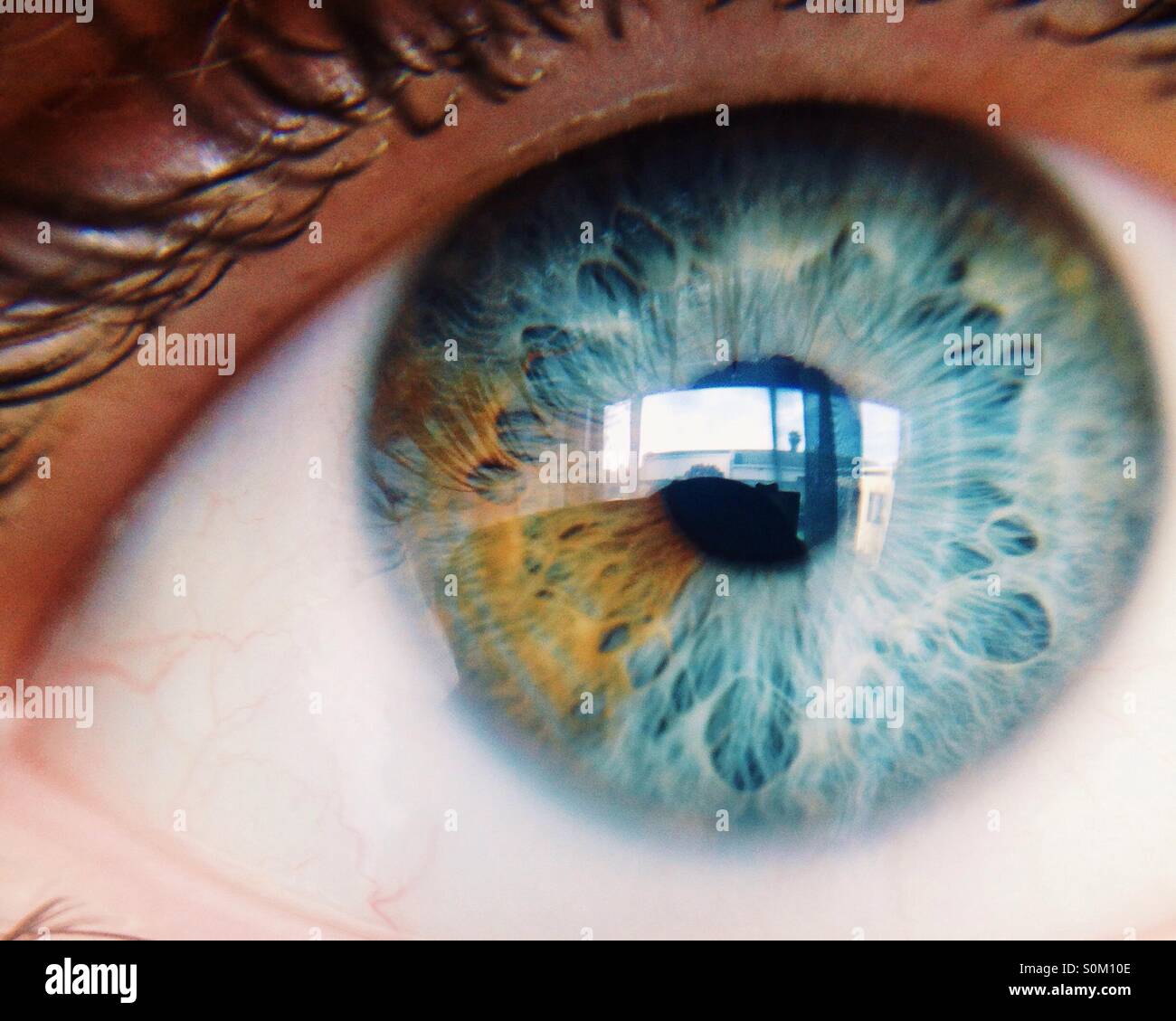 Eye ball -Fotos und -Bildmaterial in hoher Auflösung – Alamy
