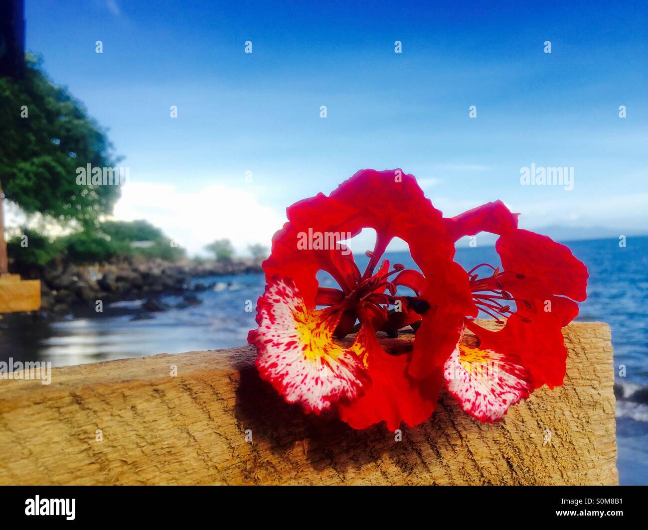 Isla negra -Fotos und -Bildmaterial in hoher Auflösung – Alamy