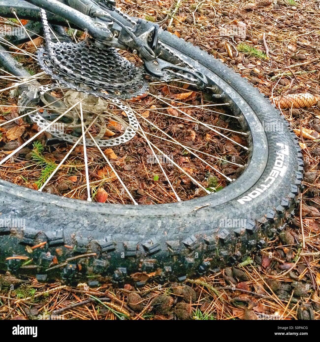 Ein hinterrad Stockfotos und -bilder Kaufen - Alamy