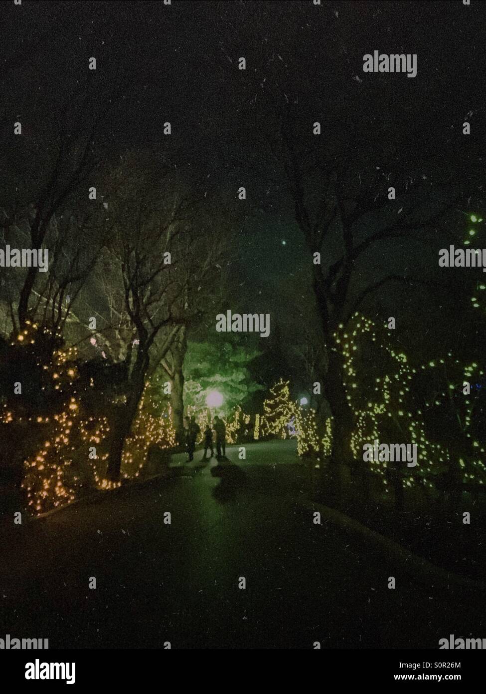 Magisch weihnachten Smartphone-Stockfotos und -Bilder - Alamy