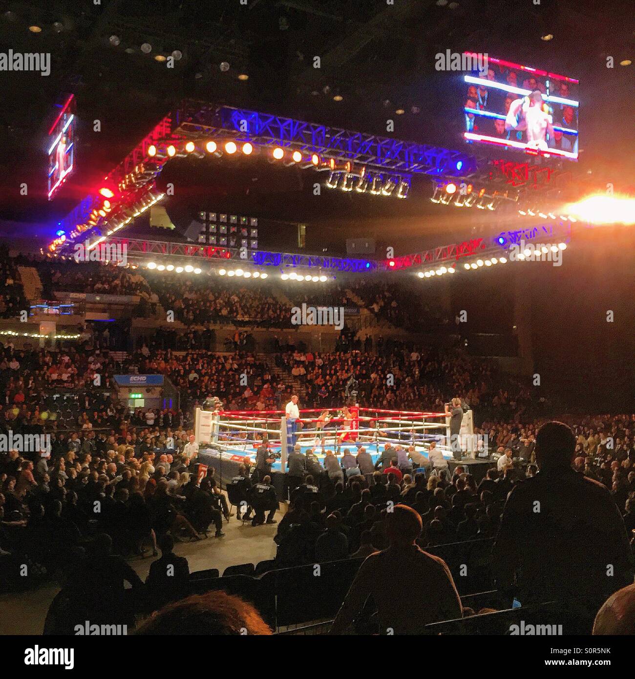 Boxing arena -Fotos und -Bildmaterial in hoher Auflösung – Alamy