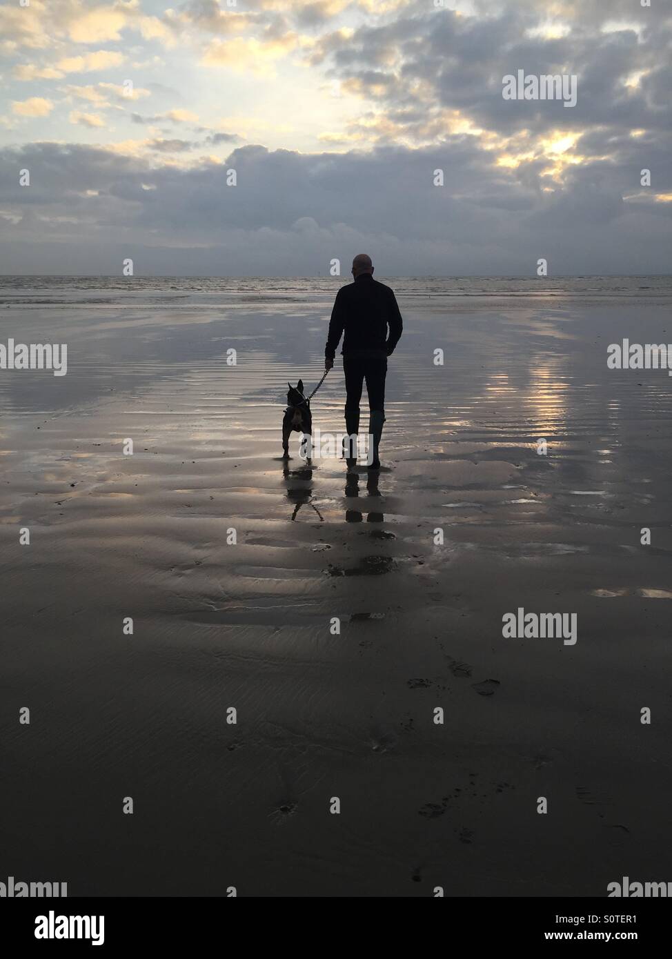 Mann hund strand -Fotos und -Bildmaterial in hoher Auflösung – Alamy