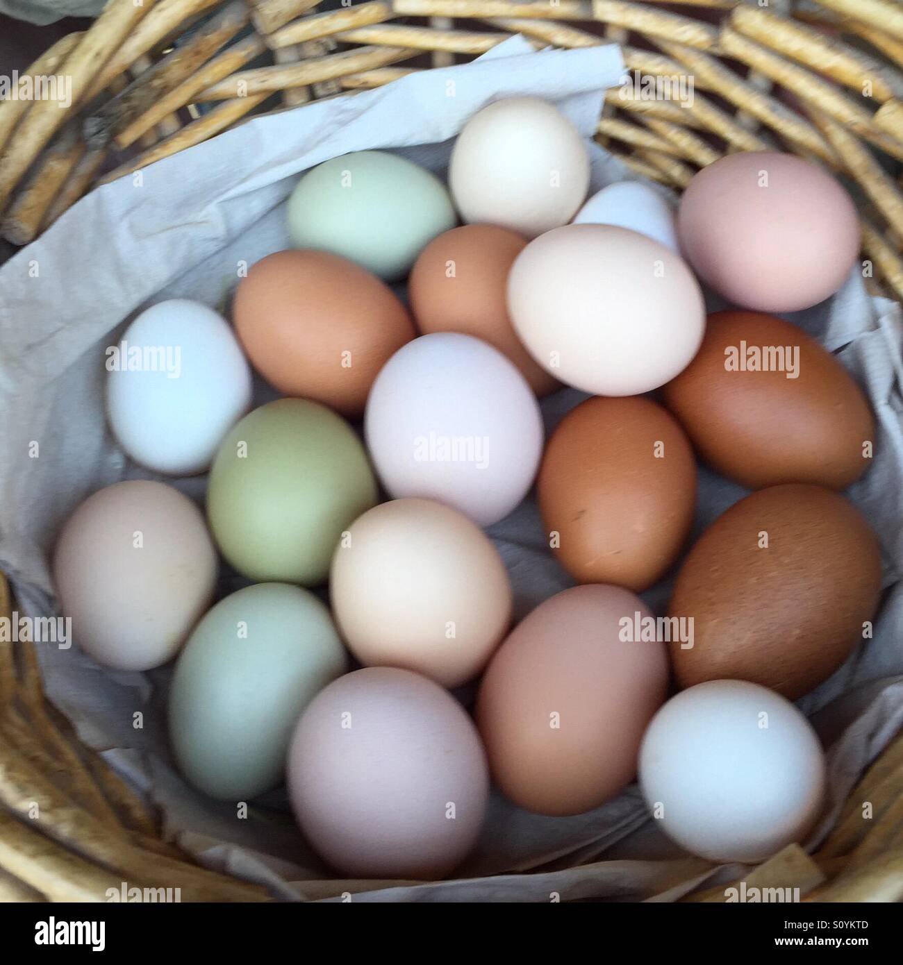 Natures colors -Fotos und -Bildmaterial in hoher Auflösung – Alamy