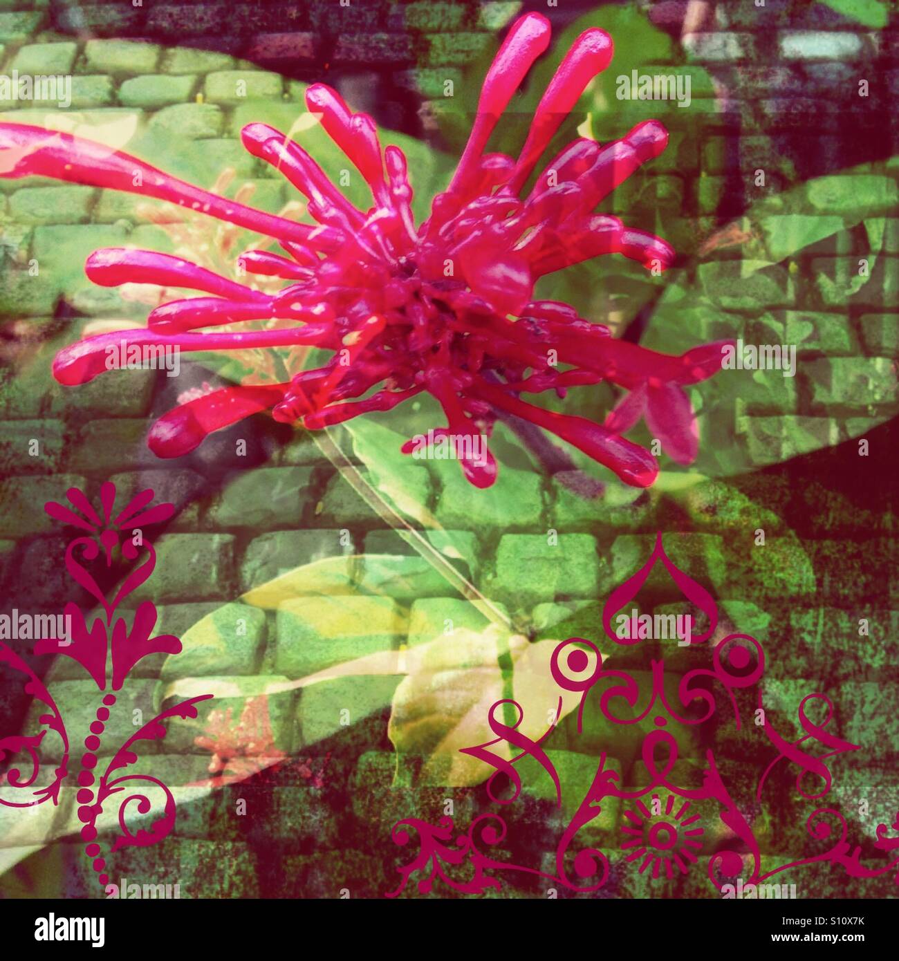 Wahr des glaubens -Fotos und -Bildmaterial in hoher Auflösung – Alamy
