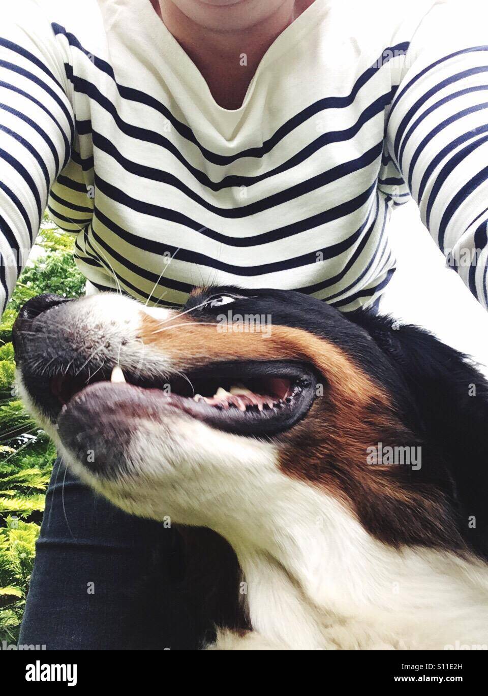 Hund und besitzer lieben -Fotos und -Bildmaterial in hoher Auflösung ...