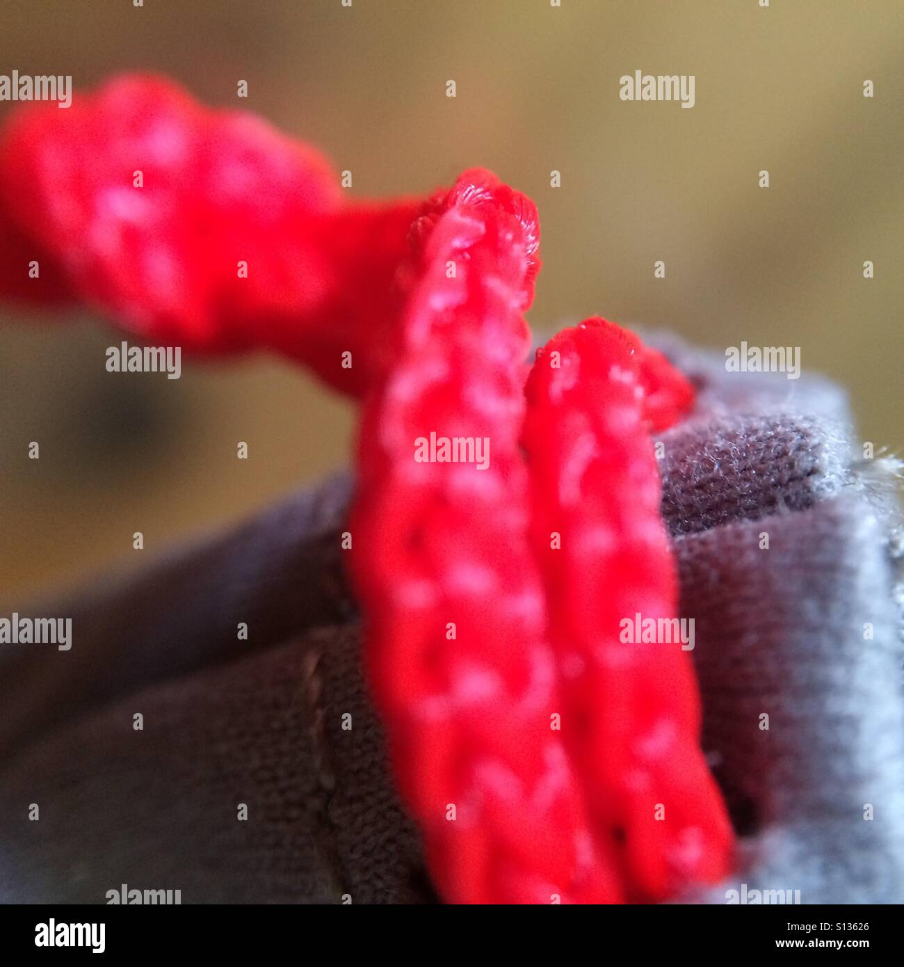 Schnur hautnah -Fotos und -Bildmaterial in hoher Auflösung – Alamy