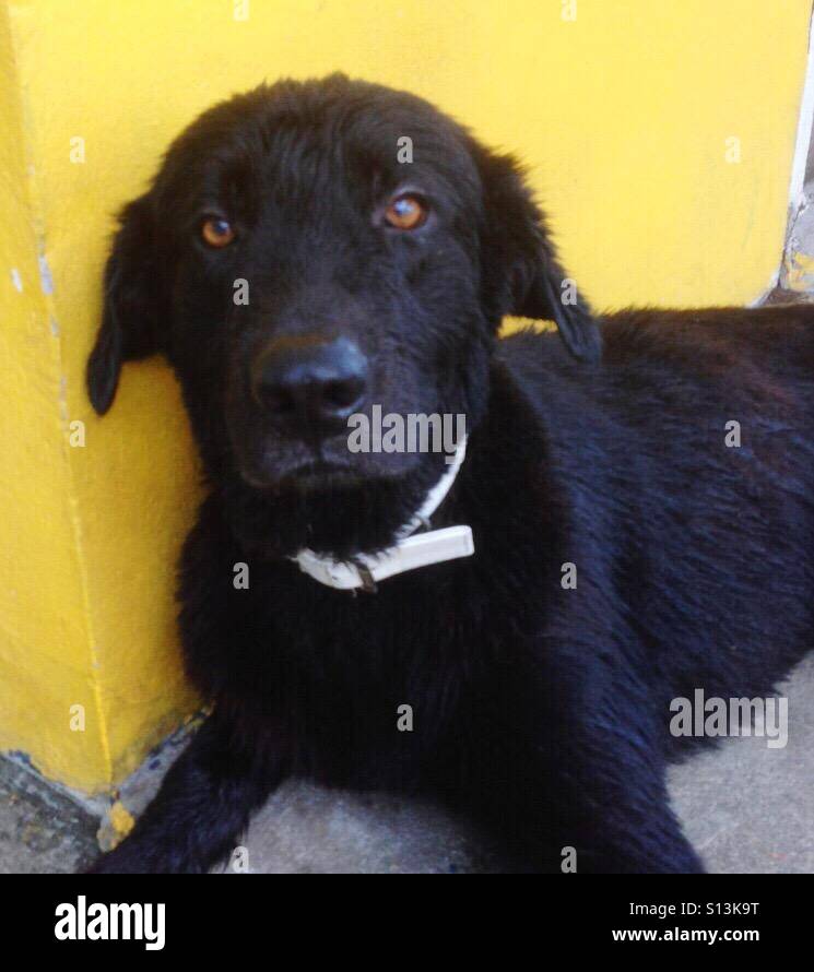 Unschuldiger Blick Stockfotos & Unschuldiger Blick Bilder - Alamy