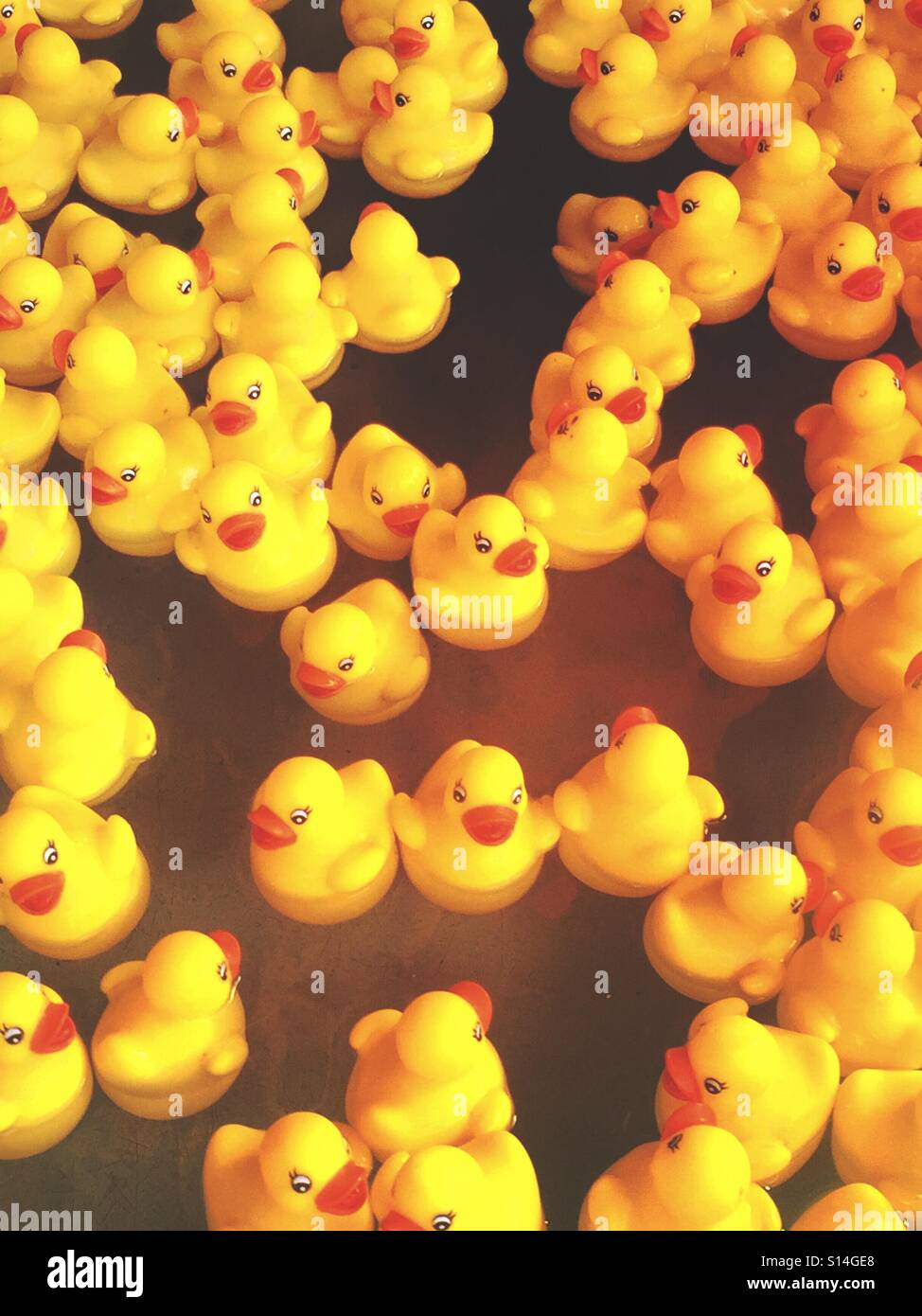 Gummiduckie pool schwimmen -Fotos und -Bildmaterial in hoher Auflösung ...