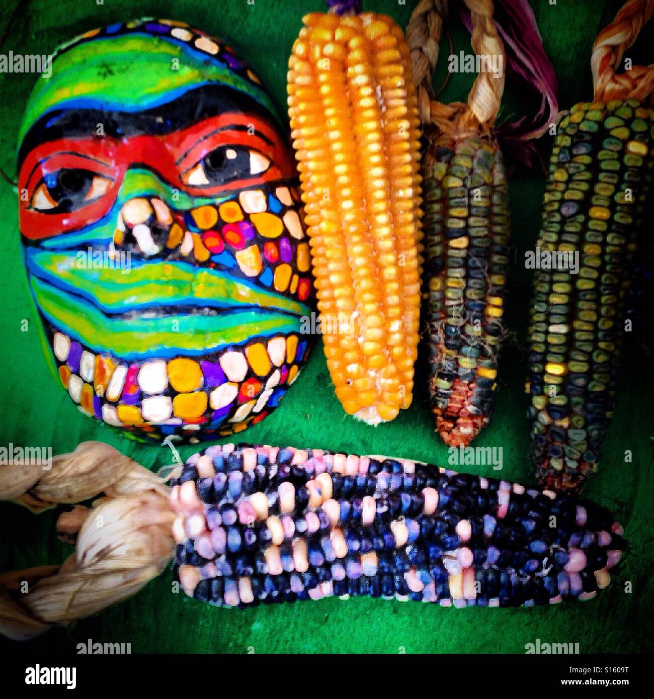 Maiz de colores Stockfotos und -bilder Kaufen - Alamy