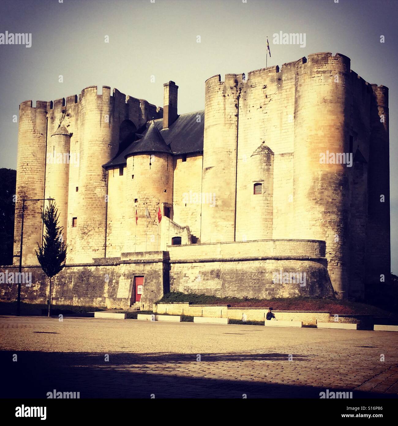 Niort schloss -Fotos und -Bildmaterial in hoher Auflösung – Alamy