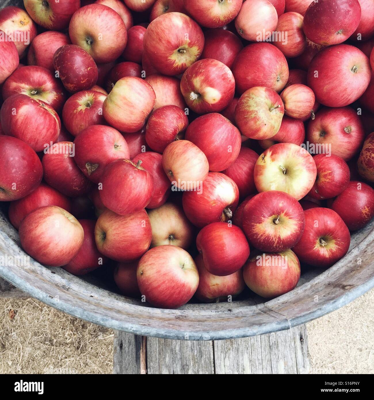 Eimer mit Äpfeln Stockfotografie - Alamy