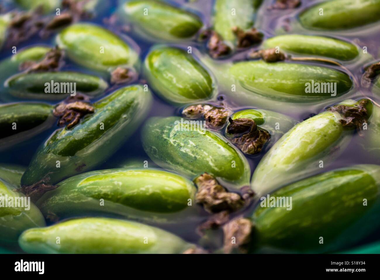Indian vegetable -Fotos und -Bildmaterial in hoher Auflösung – Alamy