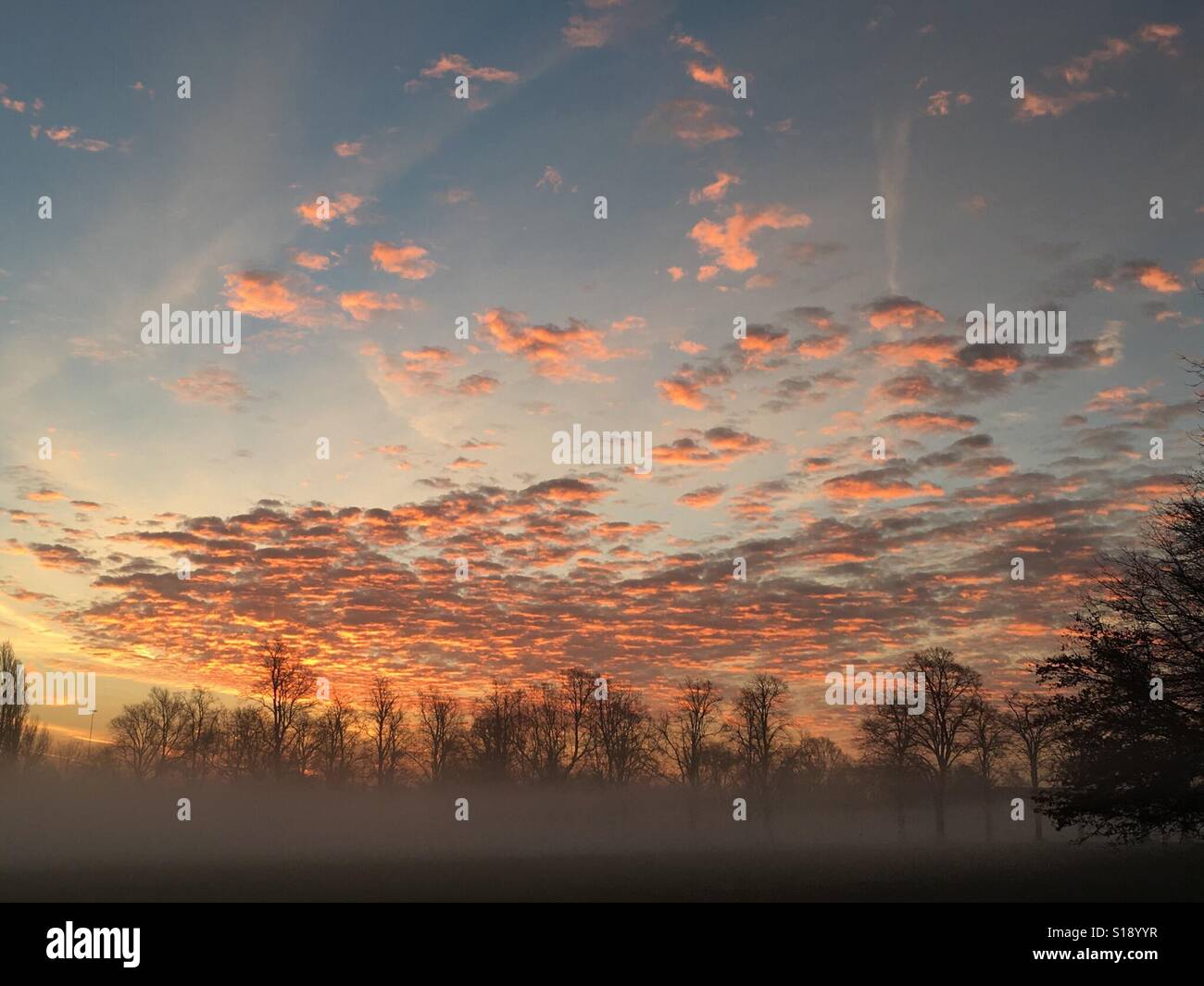 Rosa wolken -Fotos und -Bildmaterial in hoher Auflösung – Alamy