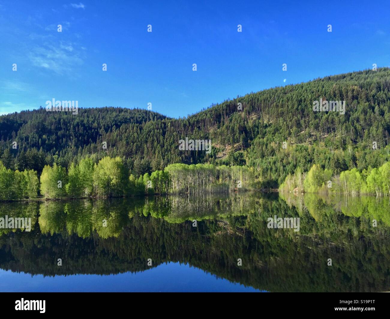 Lago di allison -Fotos und -Bildmaterial in hoher Auflösung – Alamy