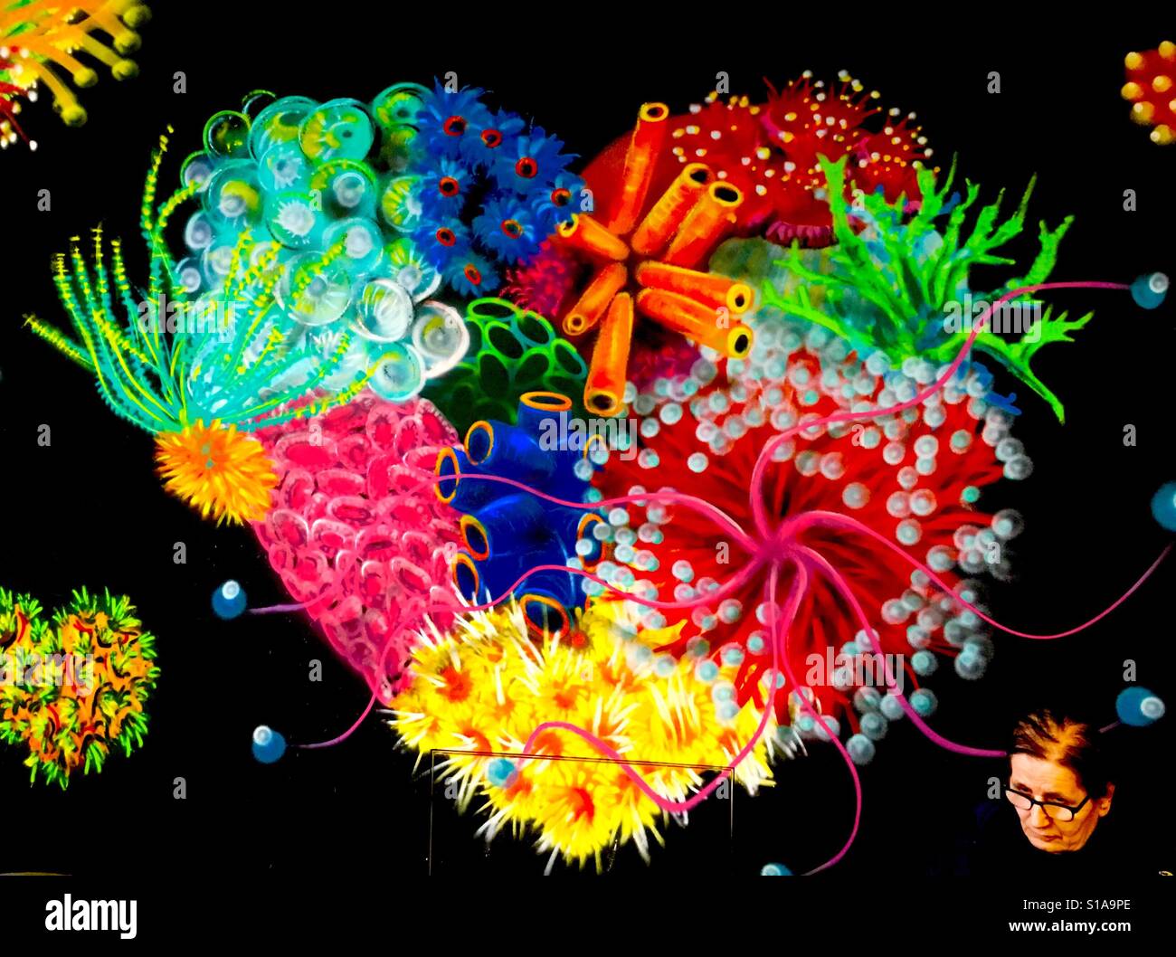 Malen mit korallen -Fotos und -Bildmaterial in hoher Auflösung – Alamy